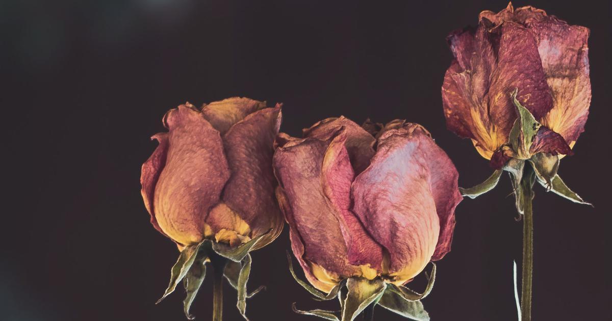 Death Café at JW3 | JW3